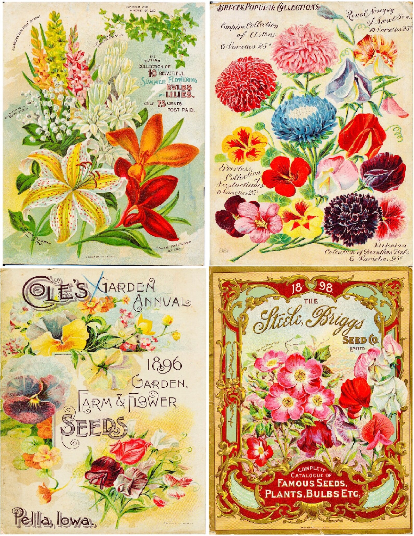 SET 1 Vintage Floral Flower Bulb and Seed Catalogue Digital - Etsy