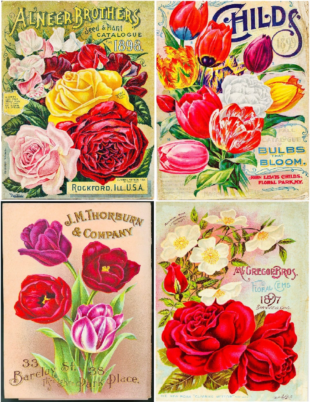 SET 1 Vintage Floral Flower Bulb and Seed Catalogue Digital Download ...