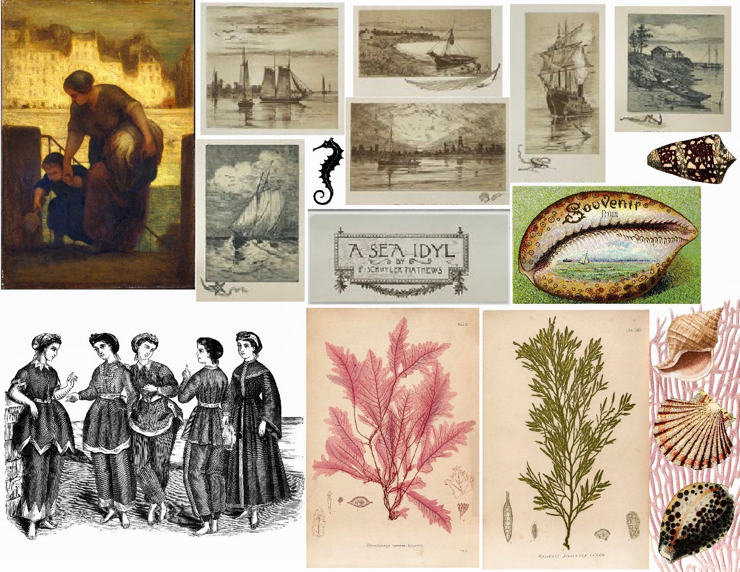 Ocean Ephemera Crabs Coral Blue Sea Sandy Beaches for Junk - Etsy