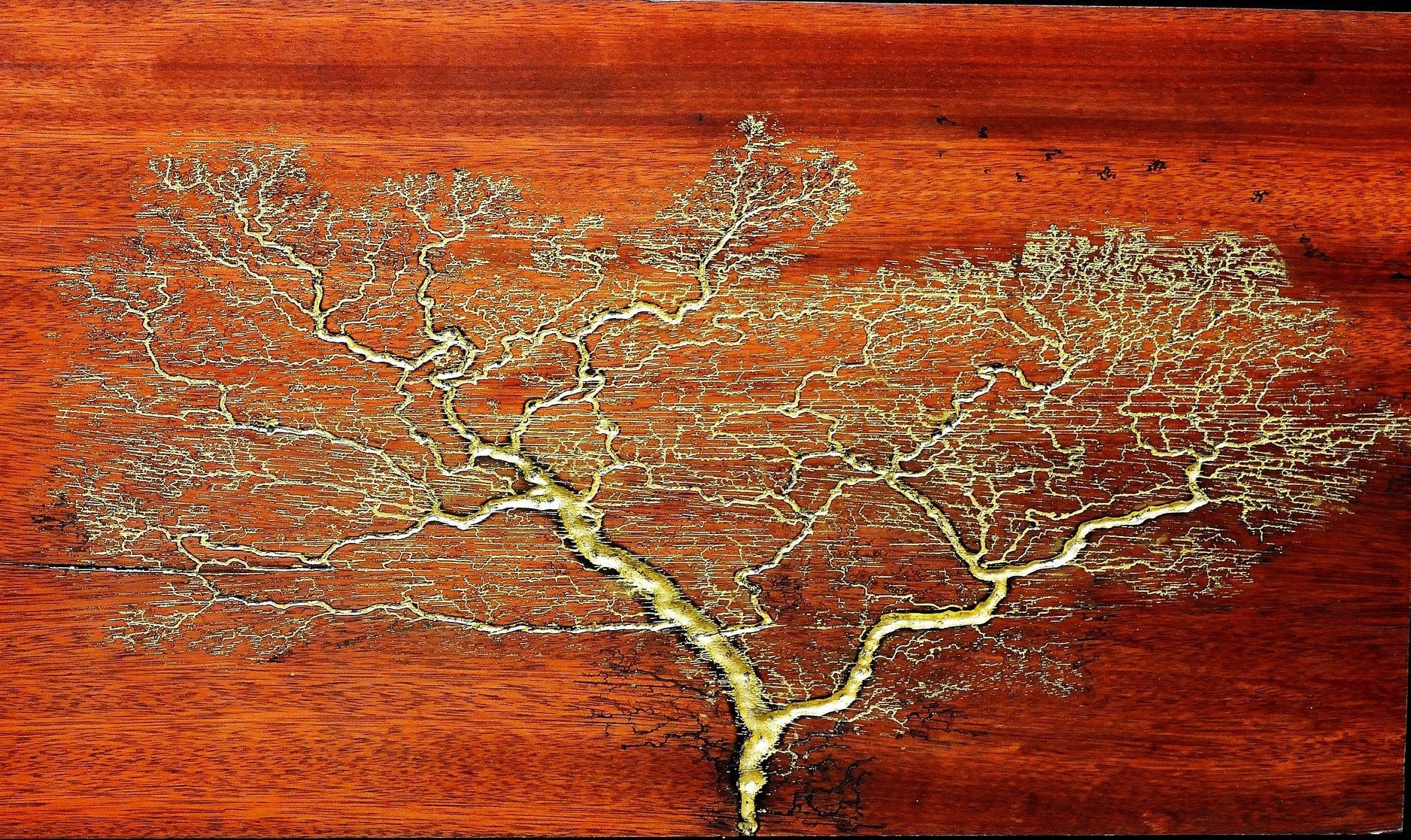 Lavat, Lichtenberg Wood Burning Machine, Smart Hobby, Remote Controlled ...