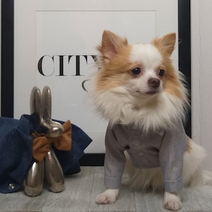 Dog outfit Designer dog clothes dog wedding attiredog ring | Etsy