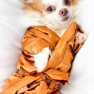 Bridal Robe, Dog Bathrobe, Bridesmaid Robe, Bride Robe, Satin Robe ...