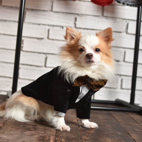 Designer Dog Clothes - Etsy