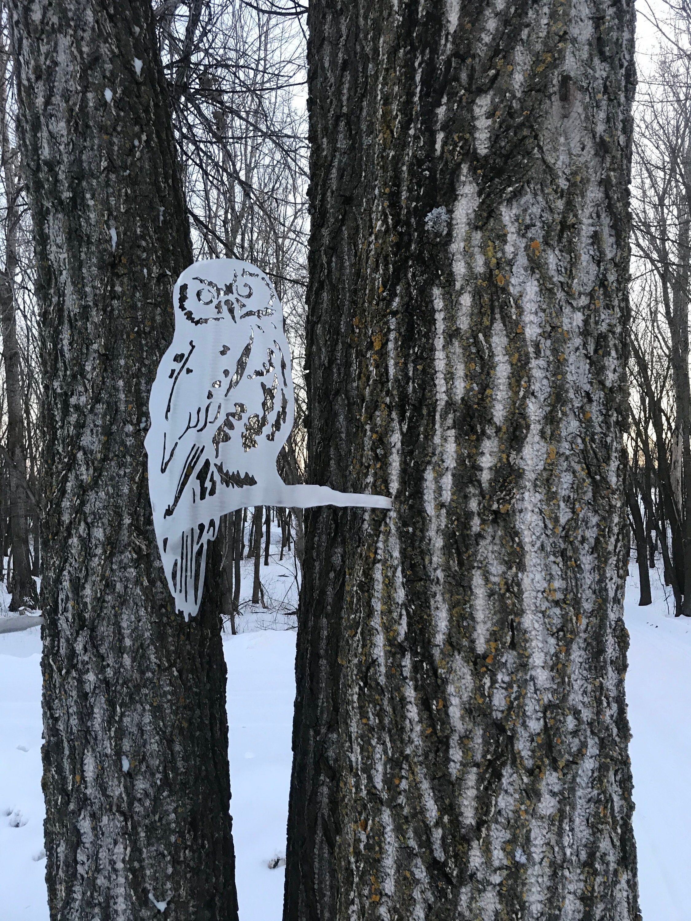 Owl Steel Metal Art / Metal Decor / Steel Wall Decor / Metal - Etsy