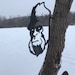 Sasquatch Face - Big Foot Face- Steel Metal Art / Metal Decor / Outdoor ...