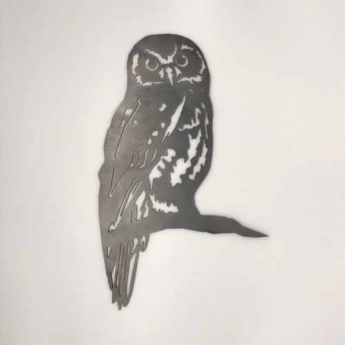 Personalized Owl Metal Sign Steel Metal Art / Metal Decor / - Etsy