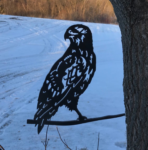Hawk Falcon / Steel Metal art / Metal Decor / Outdoor Decor | Etsy