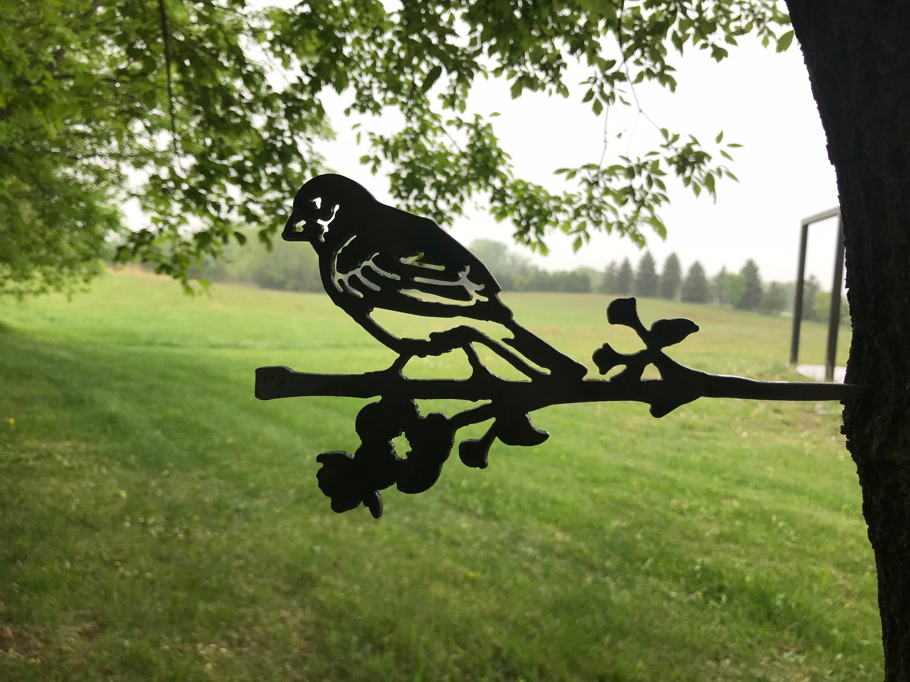 Finch - Steel Metal Art / Metal Decor / Outdoor Decor / Metal Sign ...