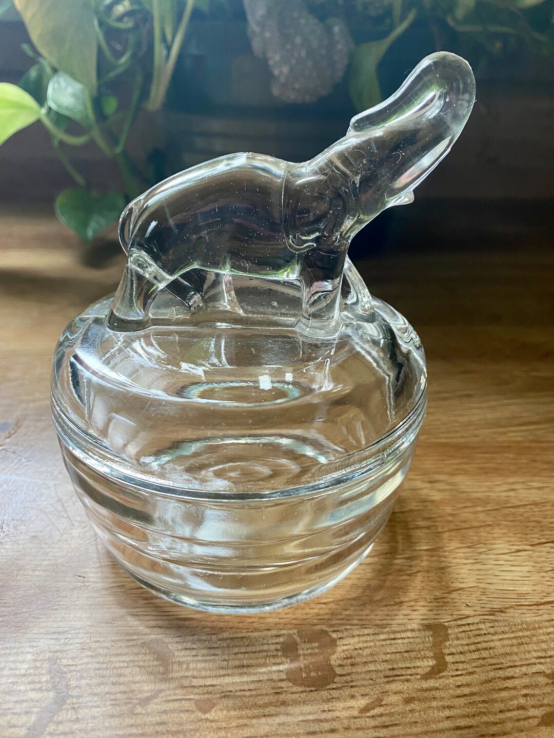 Vintage Clear Glass Elephant Covered Dish-vintage Elephant Dish - Etsy