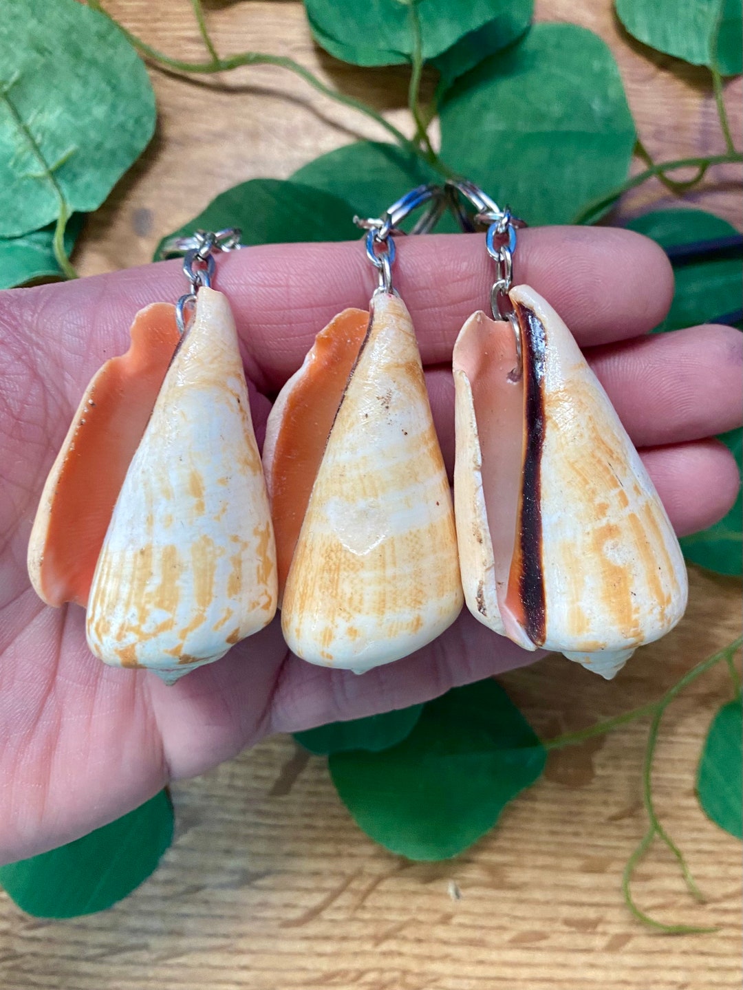 Seashell Key Ring-pretty Shell Keychain-seashell Lover - Etsy