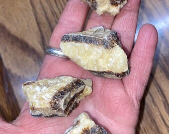 Raw Septarian Stone - Etsy