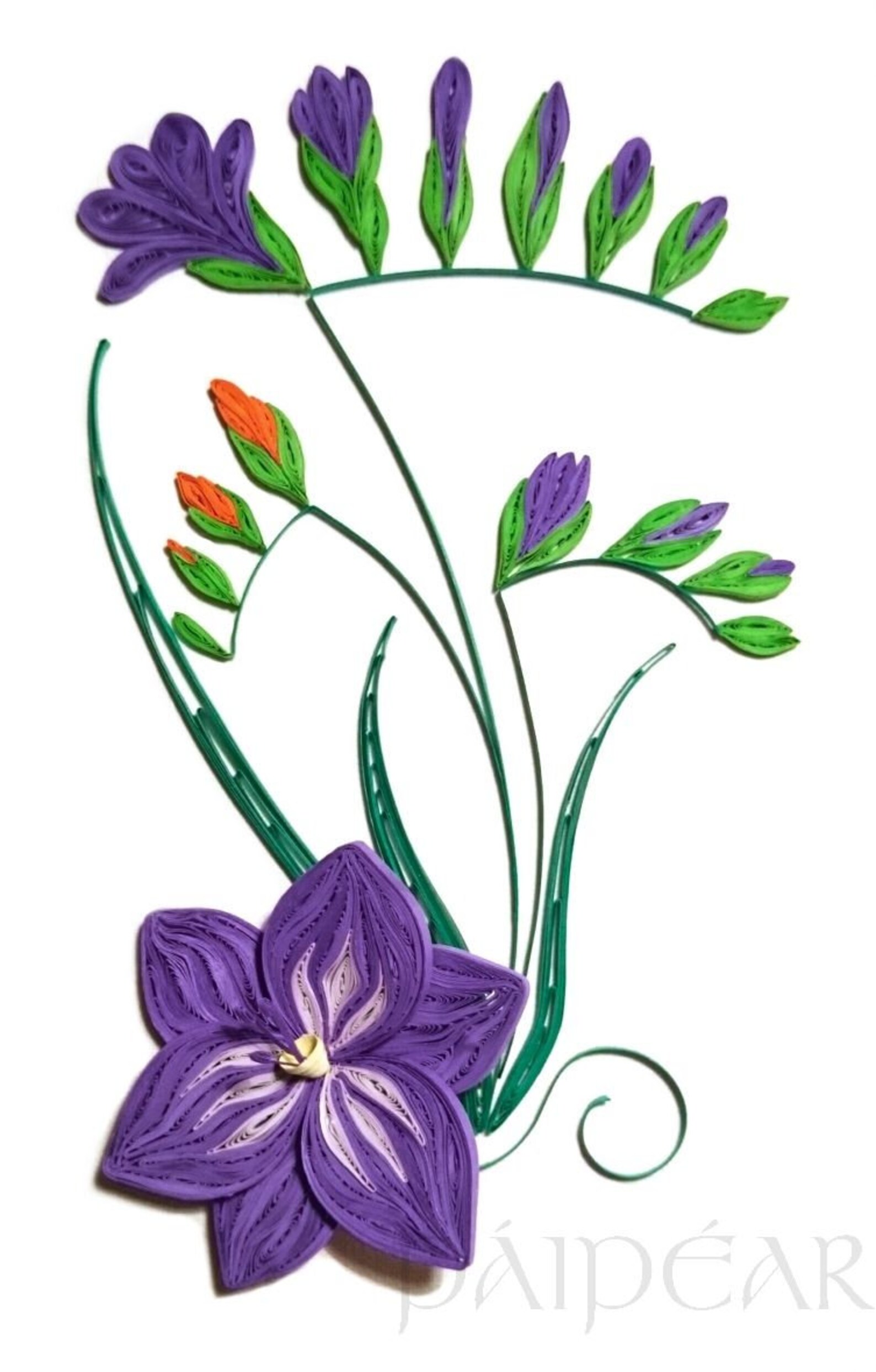 Irish Paper Art Flower Series Wall Art Gift for Her - Etsy