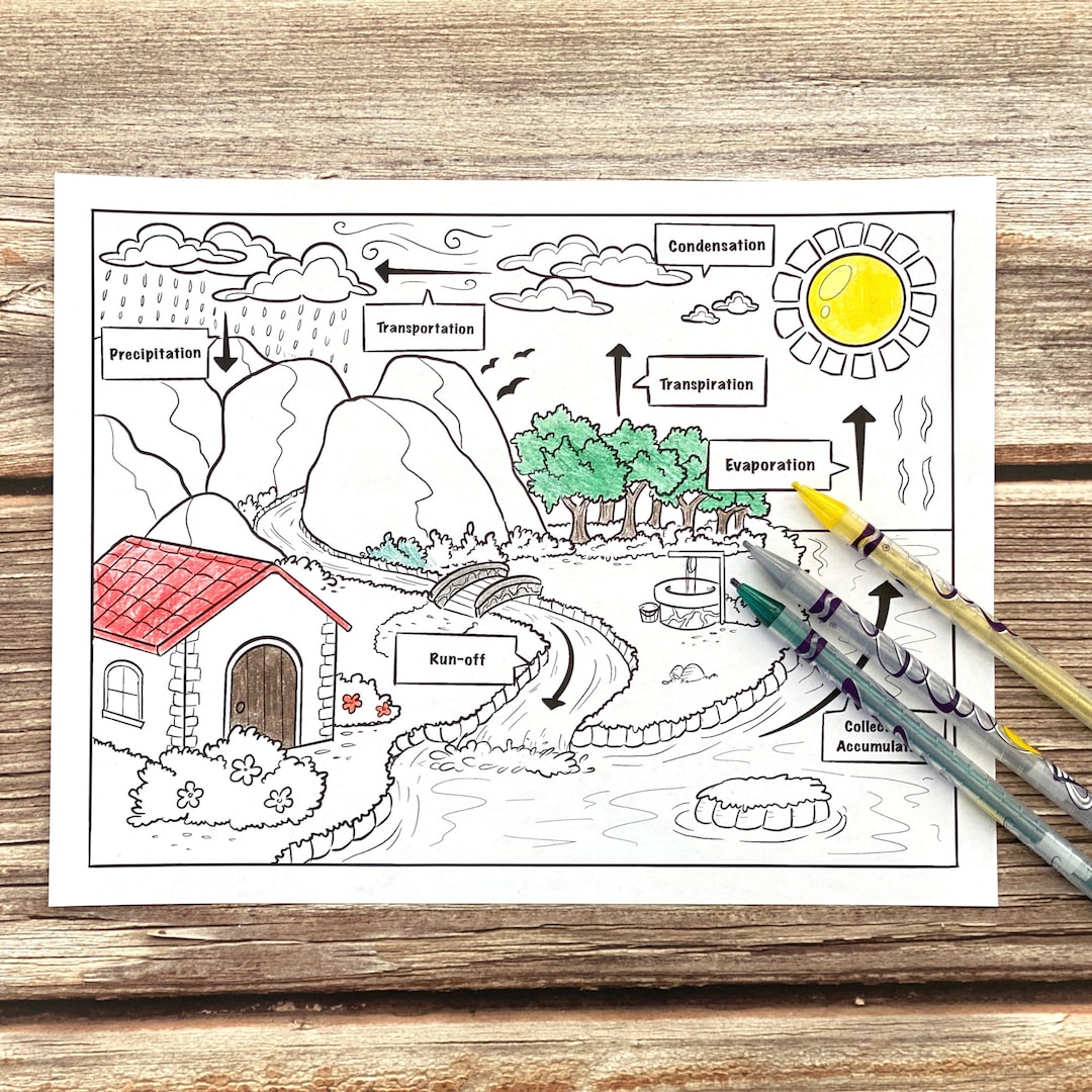 The Water Cycle Printable Coloring Page, Kids Activity, Nature Study ...