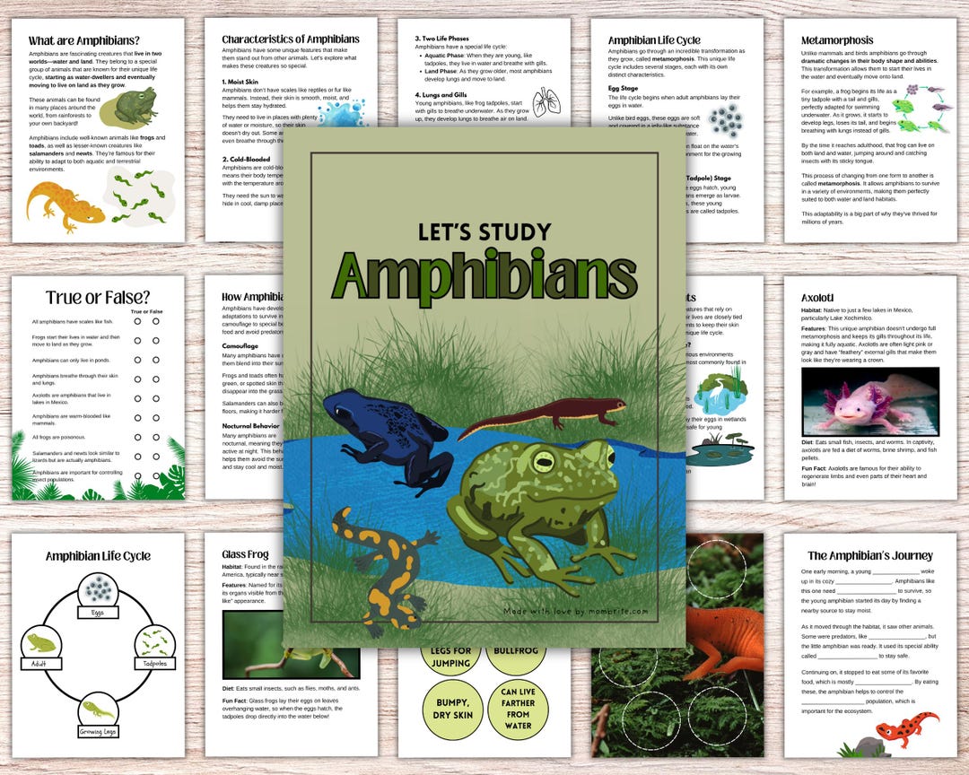 Amphibians Unit Study PDF | Frog and Toad Life Cycle Science Lesson ...