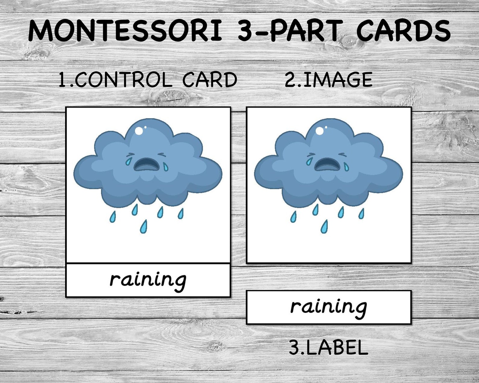 Weather Montessori Nomenclature Cards Printable Preschool | Etsy