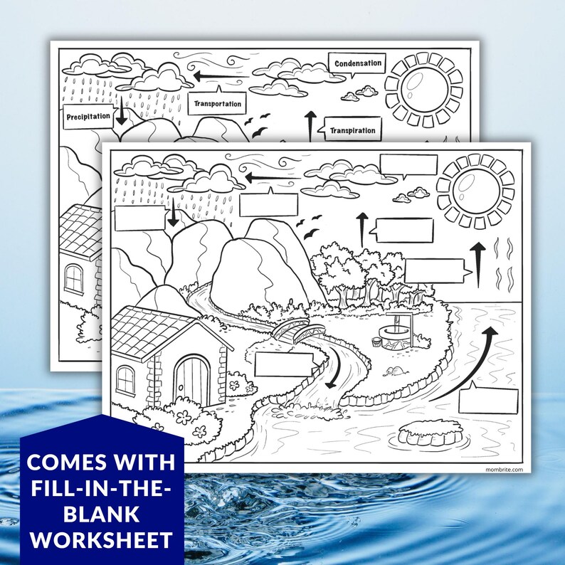 The Water Cycle Printable Coloring Page, Kids Activity, Nature Study ...