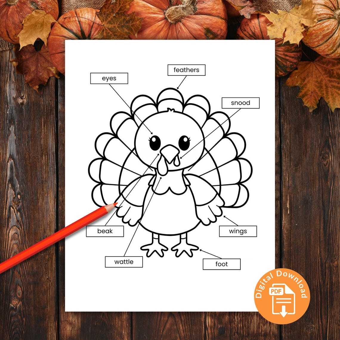 Parts of a Turkey Coloring Page, Thanksgiving Activity for Kids, Fall ...