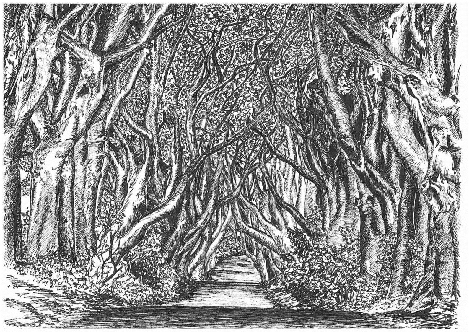 Commissioned Custom Pen Ink Drawing Illustration Handmade - Etsy