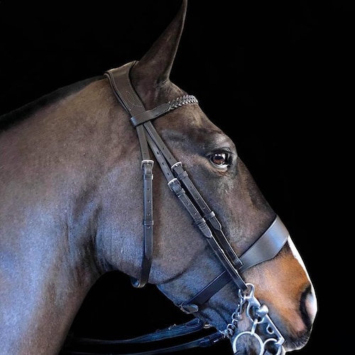 Hunter Bridle Leather - Etsy
