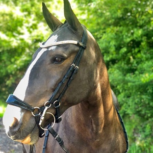 Volte Double Drop Bridle Evo Equine - Etsy