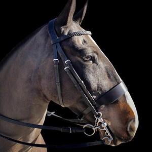 Hunter Bridle Leather - Etsy