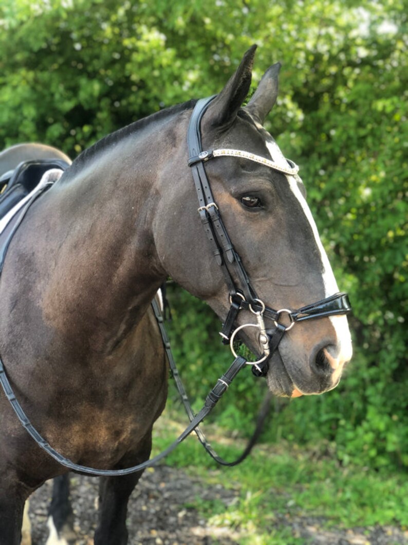 Volte Double Drop Bridle Evo Equine - Etsy