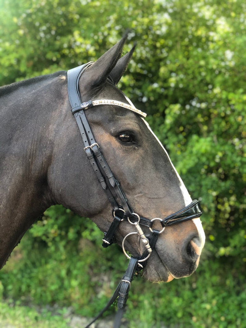 Volte Double Drop Bridle Evo Equine - Etsy