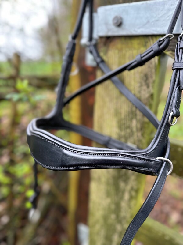 Easy Ride Bitless / Bitted Leather 4-way Bridle Evo Equine - Etsy