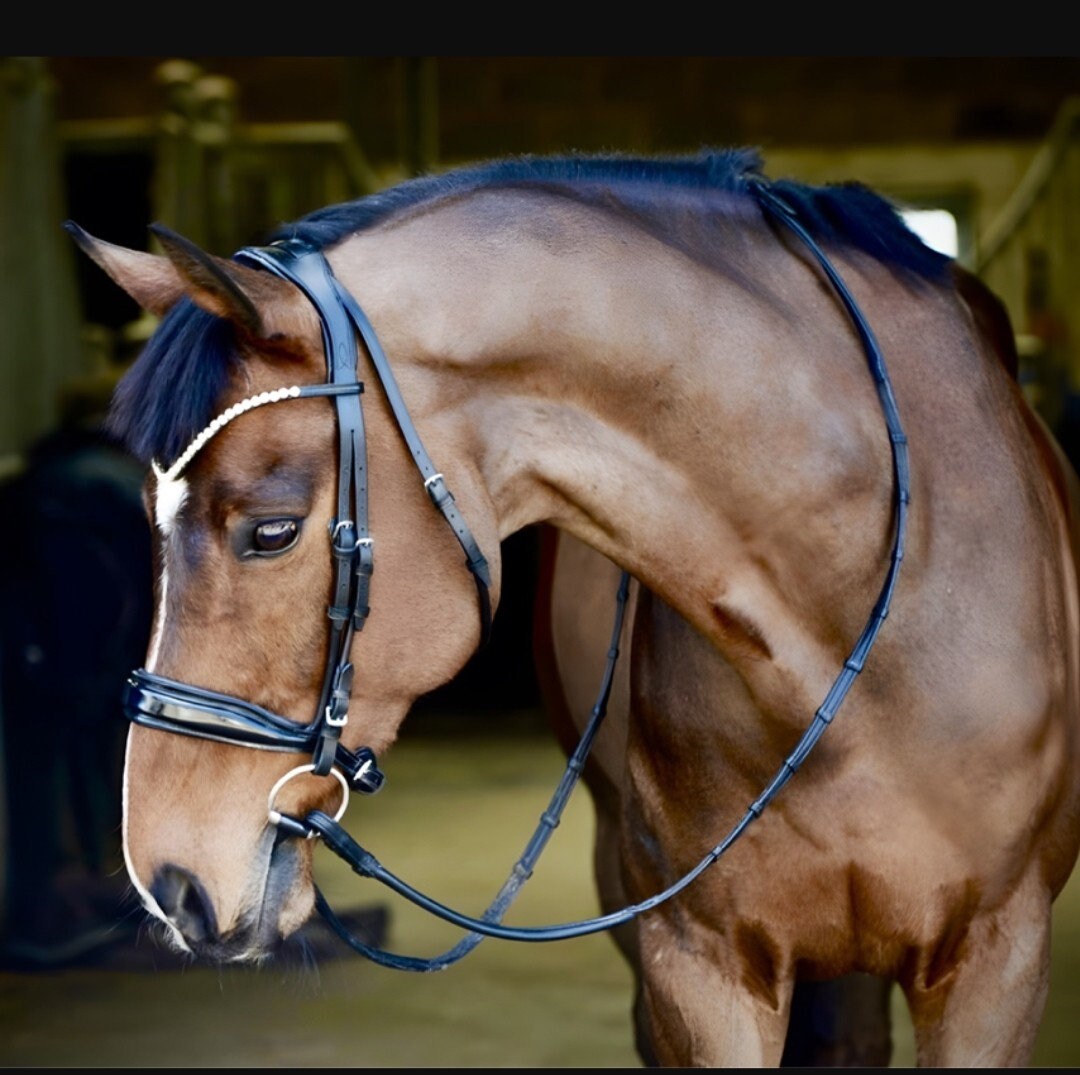 Enchanted Rolled Snaffle Bridle Evo Equine - Etsy
