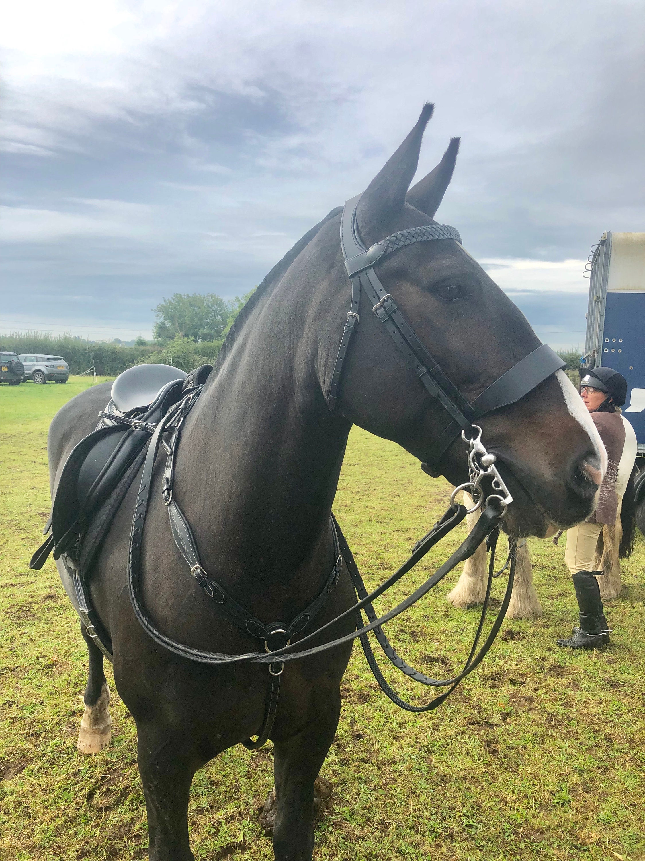 Hunter Bridle Leather - Etsy