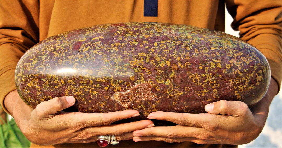 Stunning Huge 400MM Natural Brown Fossil Coral Jasper Metaphysical ...
