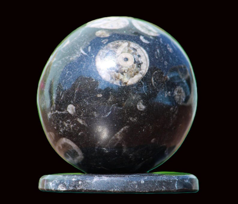 65MM Natural Orthoceras Ammonite Fossil Sphere: Chakra Balancing Stone ...