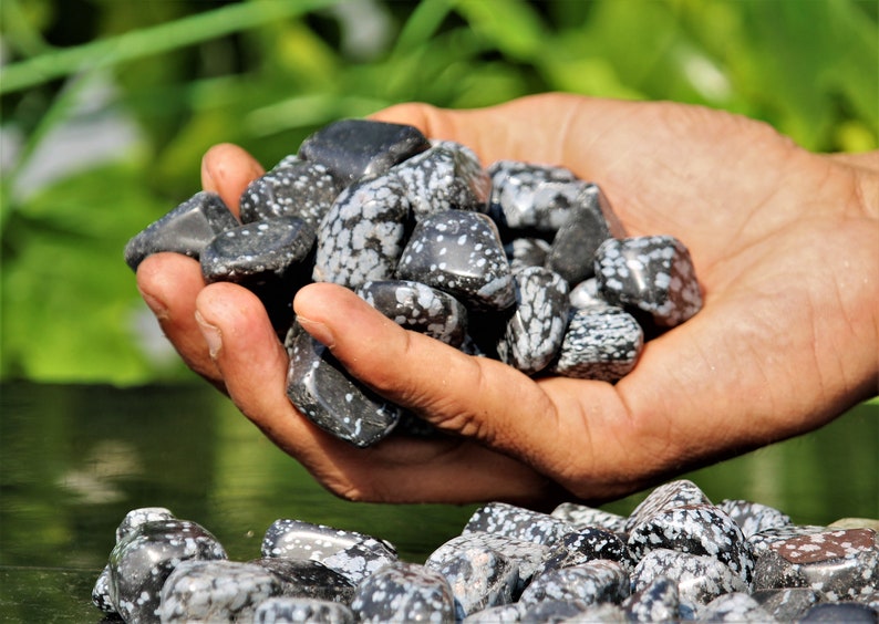 Rare Natural Black Snowflake Jasper Snowflake Obsidian Stone - Etsy