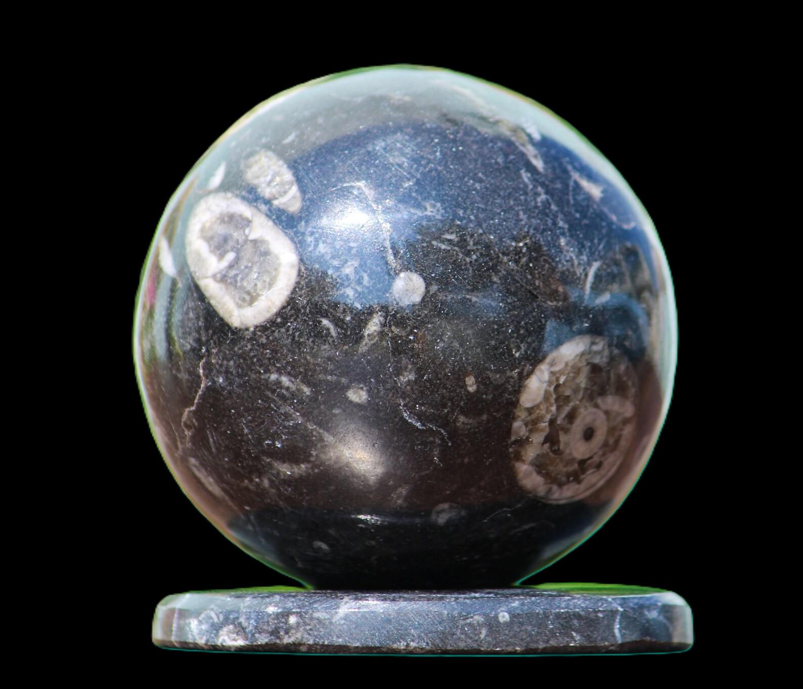 65MM Natural Orthoceras Ammonite Fossil Sphere: Chakra Balancing Stone ...