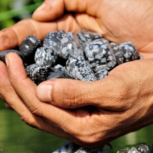 Rare Natural Black Snowflake Jasper Snowflake Obsidian Stone of Self 1 ...