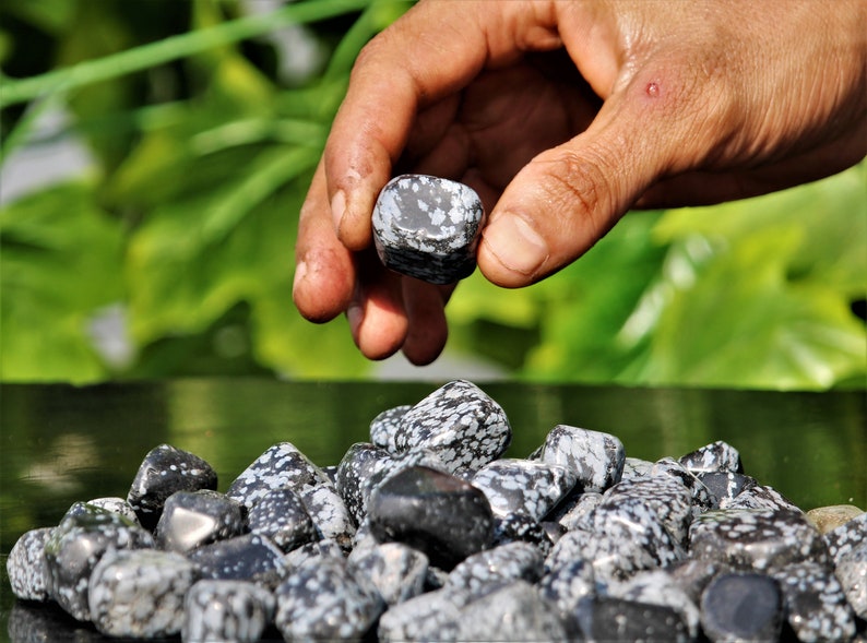 Rare Natural Black Snowflake Jasper Snowflake Obsidian Stone - Etsy