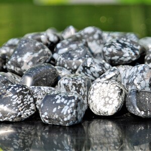 Rare Natural Black Snowflake Jasper Snowflake Obsidian Stone of Self 1 ...