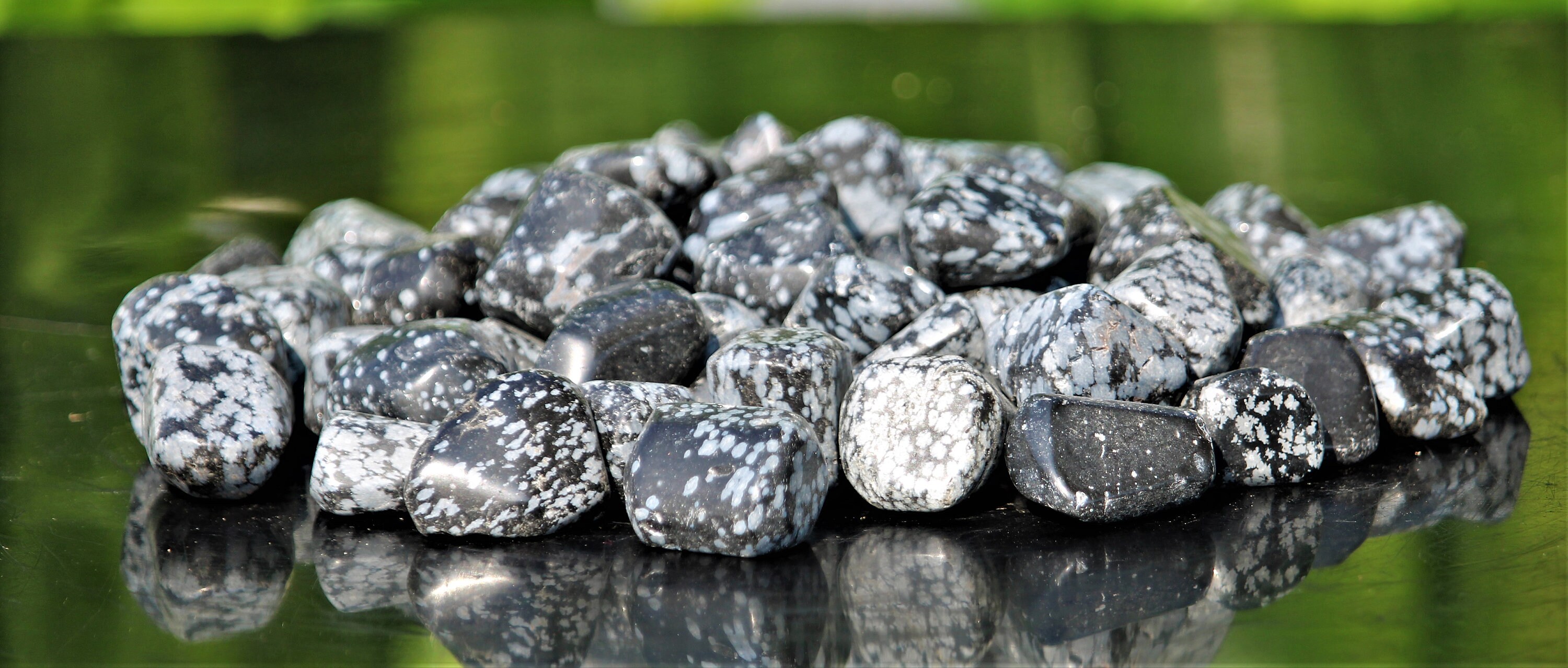 Rare Natural Black Snowflake Jasper Snowflake Obsidian Stone - Etsy