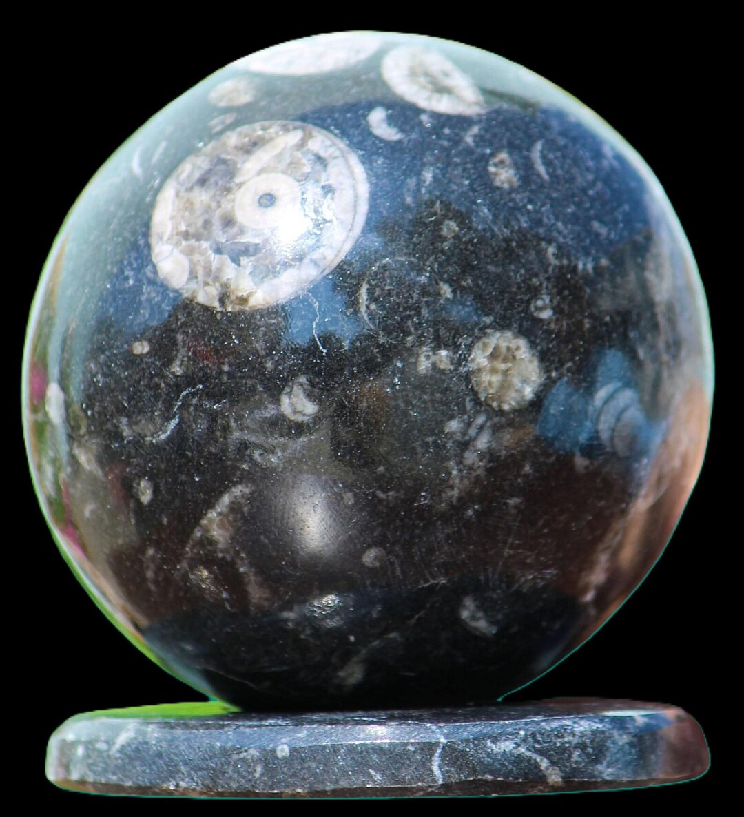 65MM Natural Orthoceras Ammonite Fossil Sphere: Chakra Balancing Stone ...