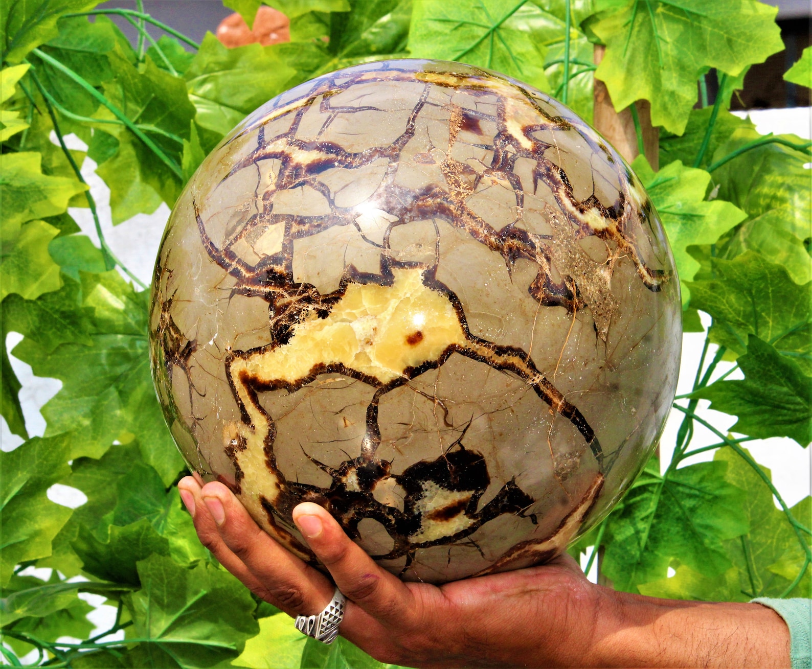 Beautiful Huge 235MM Natural Septarian Stone Crystal Healing - Etsy