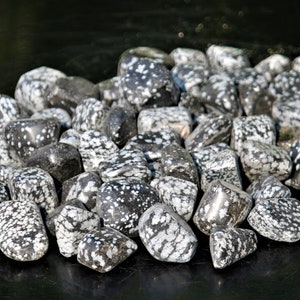 Rare Natural Black Snowflake Jasper Snowflake Obsidian Stone of Self 1 ...