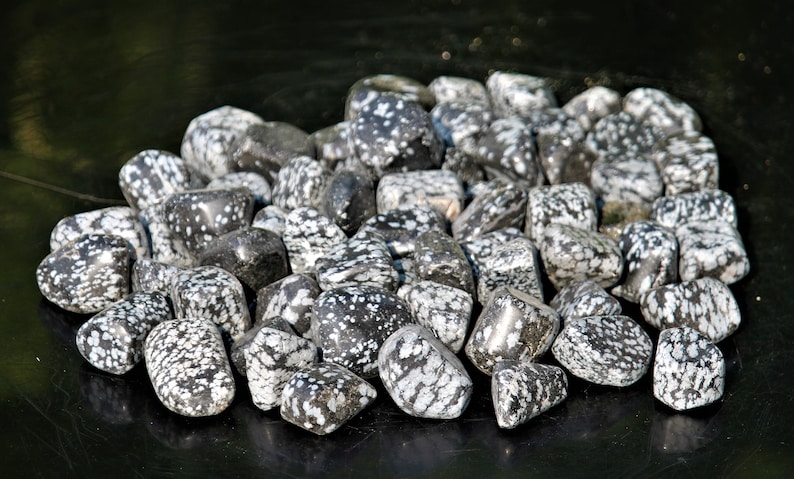 Rare Natural Black Snowflake Jasper Snowflake Obsidian Stone - Etsy