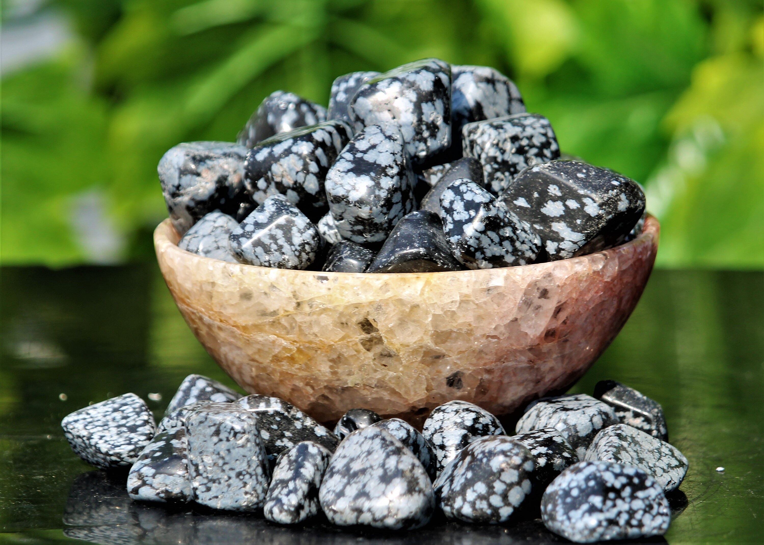 Rare Natural Black Snowflake Jasper Snowflake Obsidian Stone - Etsy