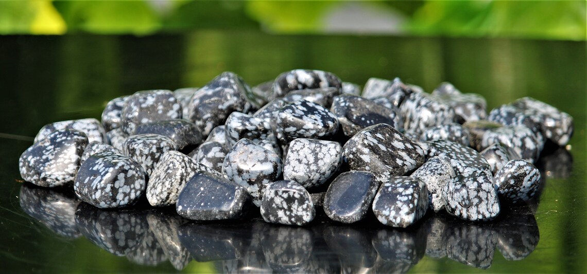 Rare Natural Black Snowflake Jasper Snowflake Obsidian Stone | Etsy