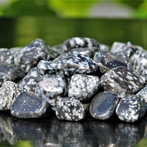 Rare Natural Black Snowflake Jasper Snowflake Obsidian Stone of Self 1 ...