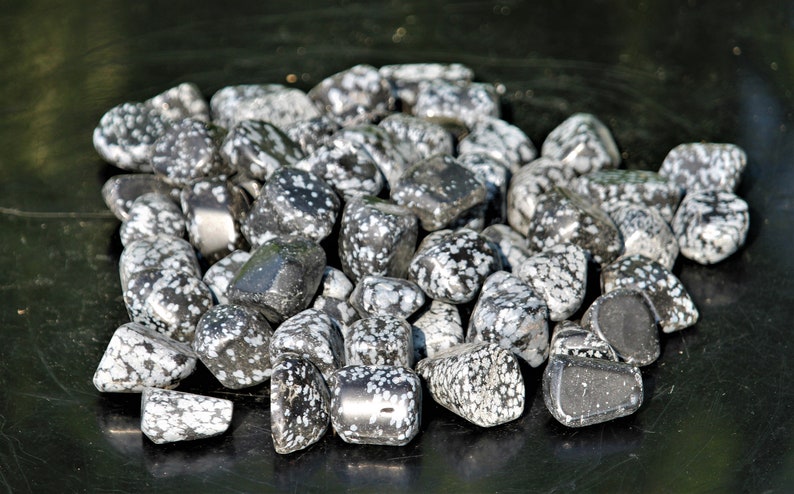 Rare Natural Black Snowflake Jasper Snowflake Obsidian Stone - Etsy