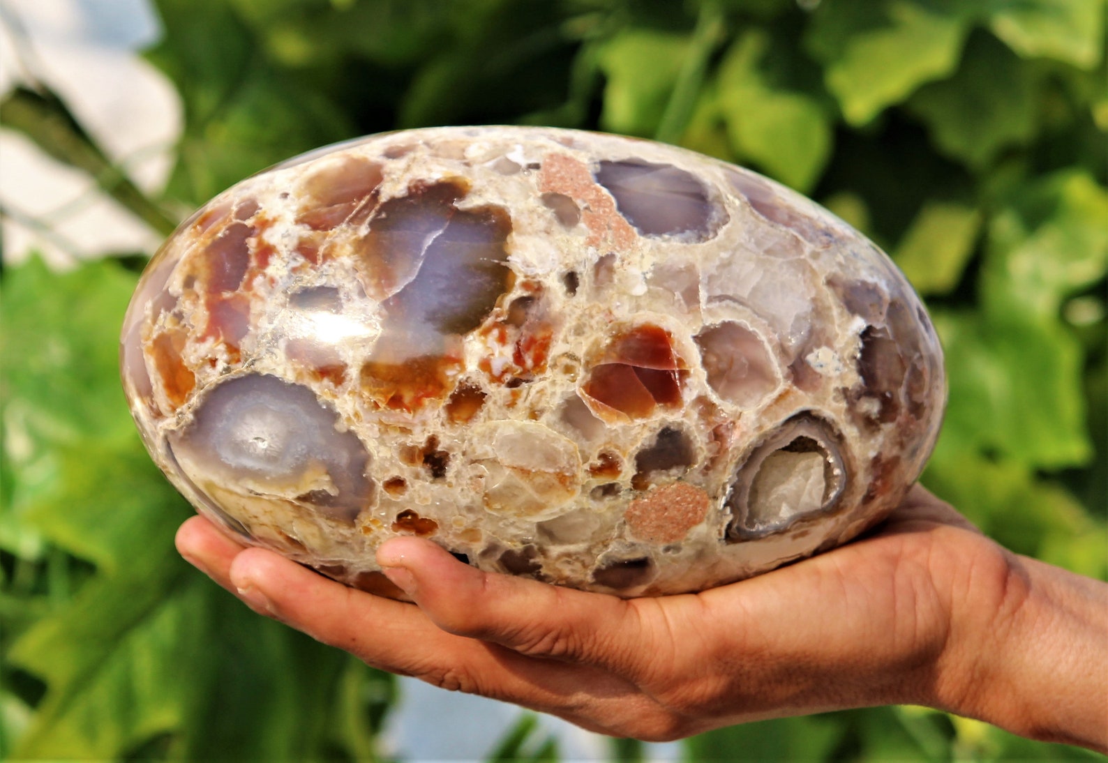 Beautiful Large 185MM Natural Cobra Jasper Rock and Minerals | Etsy