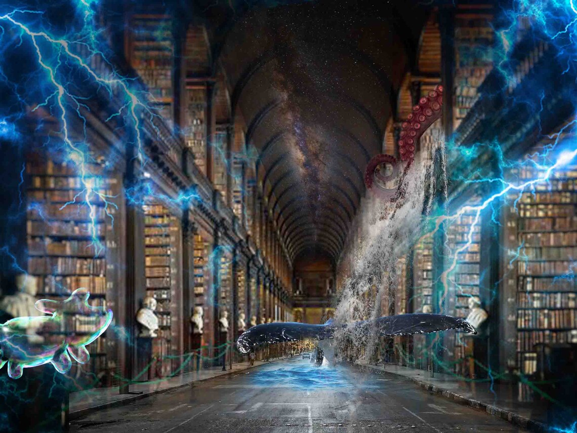 Wizard Digital Background library Inspired Harry Potter | Etsy