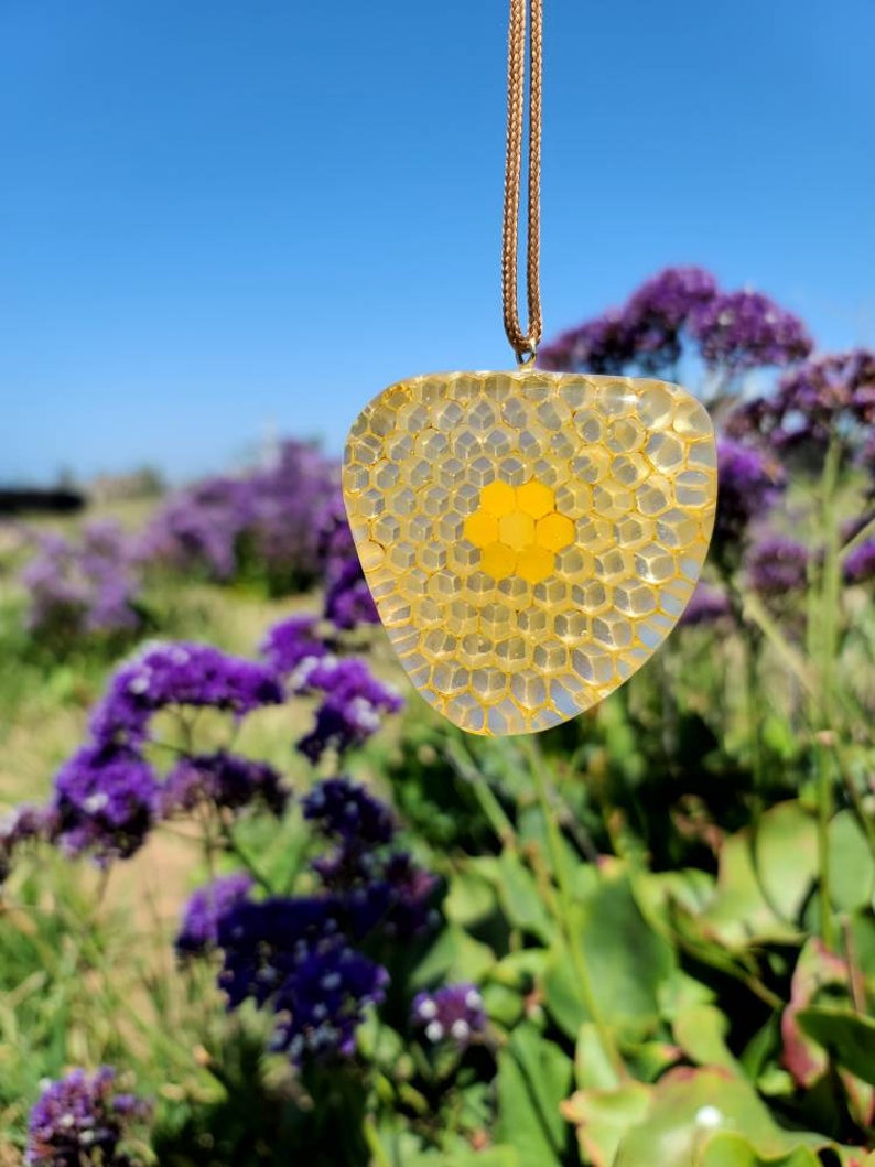 Large Light Colored Honey Comb Semi Circle Shape With UV - Etsy