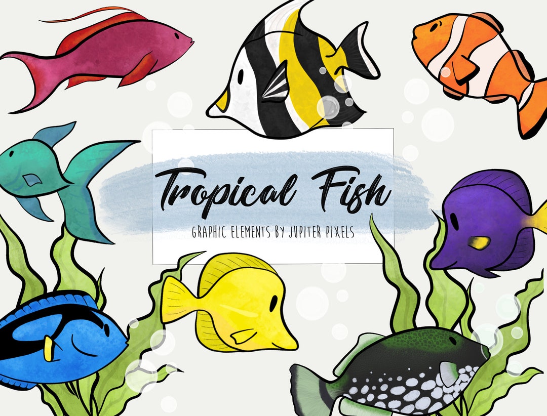Tropical Fish Clipart / Ocean Fish Images / Instant Download - Etsy